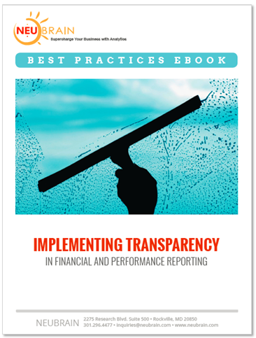 Implementing Transparency in Financial and Performance Reporting